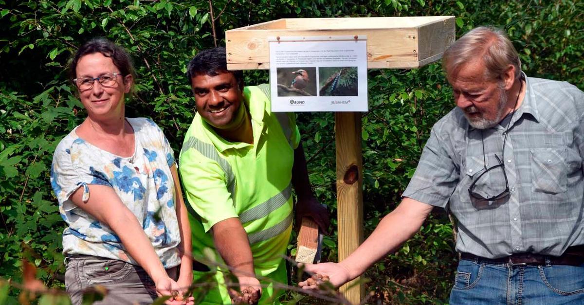 Wie Raunheimer dem Wald auf die Sprünge helfen