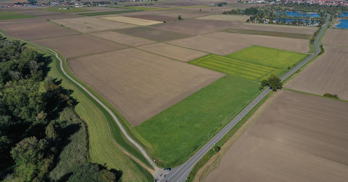 Trebur: BI bereitet sich auf die