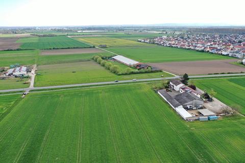 Wo lebt der Feldhamster in Trebur?