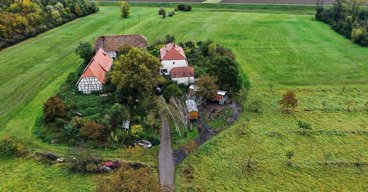 Fragen über Fragen zur Treburer Ludwigsaue
