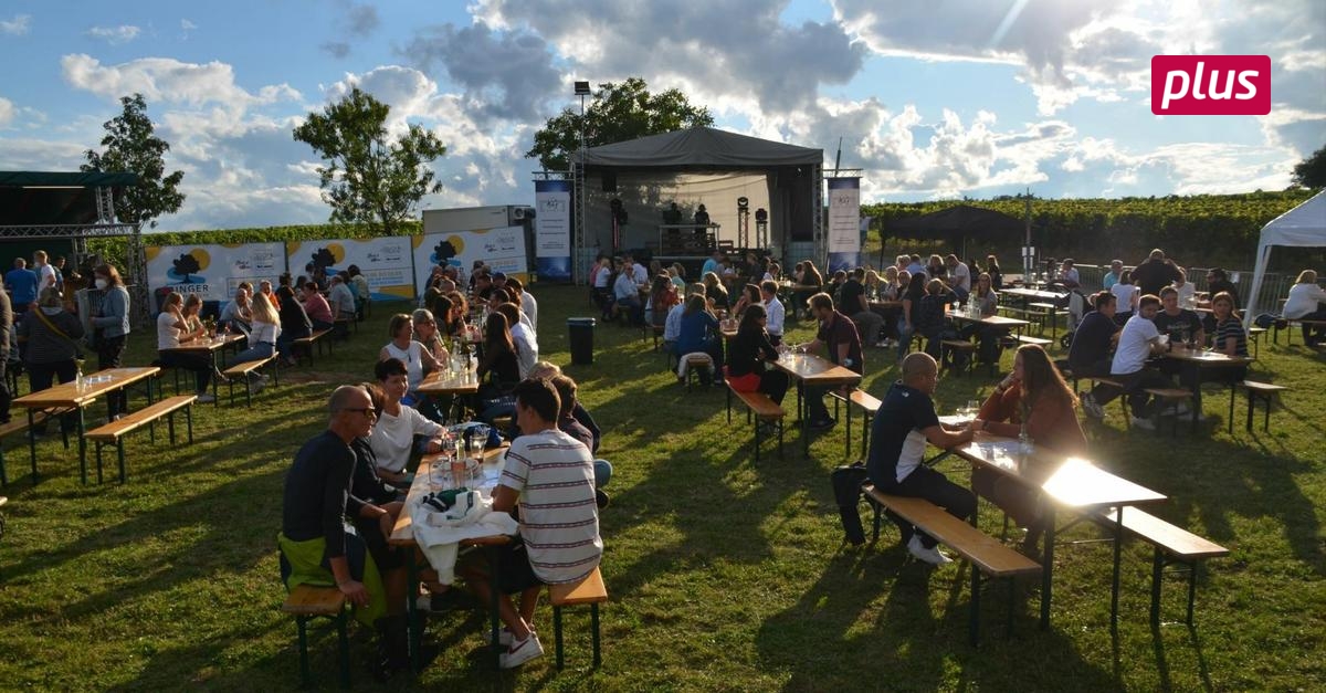 Die Binger Sommernacht geht in die dritte Runde | Echo Online