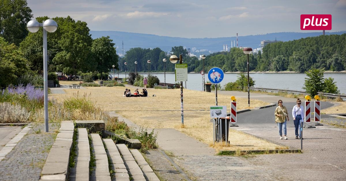 Was sich die Mainzer für ihr Rheinufer wünschen | Echo Online