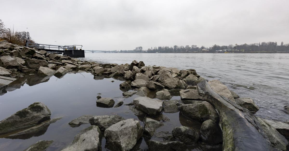 Hochwasser, Niedrigwasser: So ist die Lage zurzeit