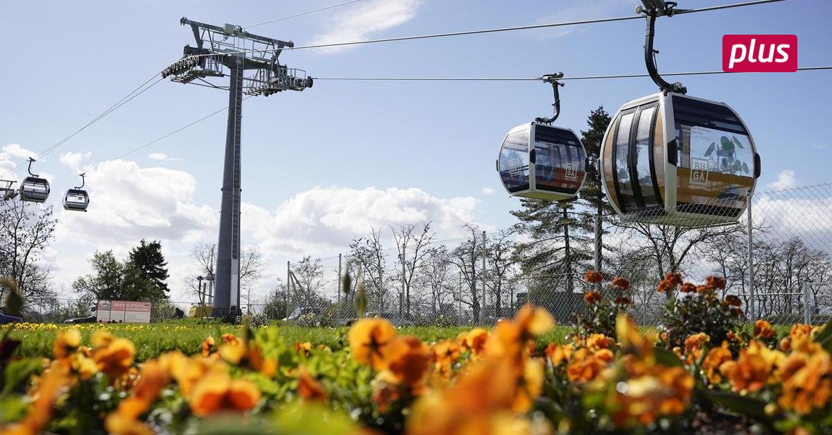 Mainzer Ferienkarte kommt an | Echo Online