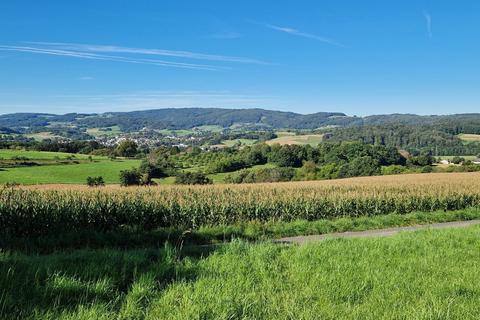 Neuer Wanderweg wird in Brensbach eingeweiht