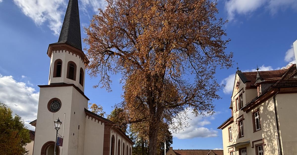 Neue Pfarrei „Guter Hirte“ im Odenwald: Start Anfang 2026