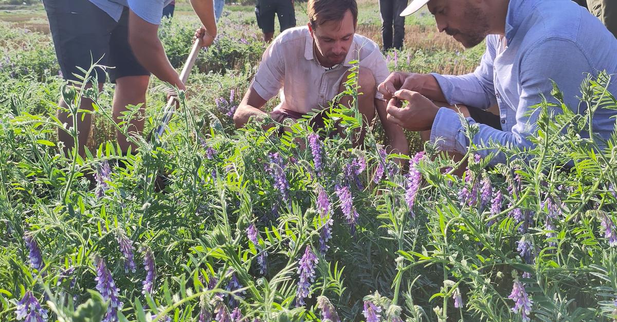 Gute Ernte trotz Klimawandel: So kann das funktionieren