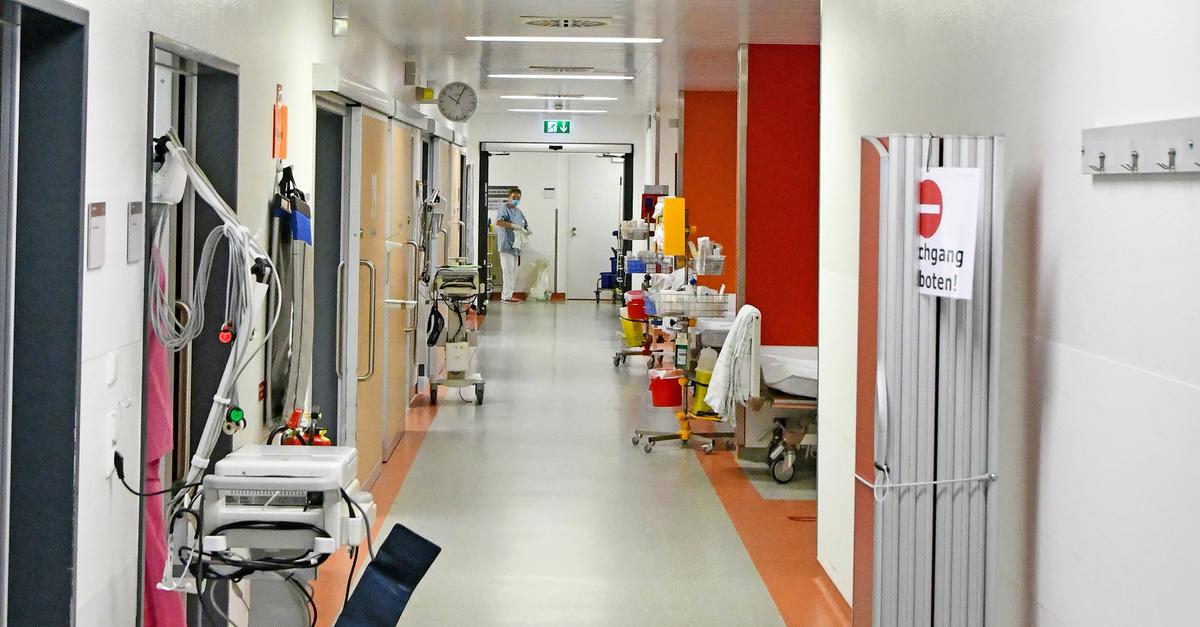 Woran die Odenwälder sterben