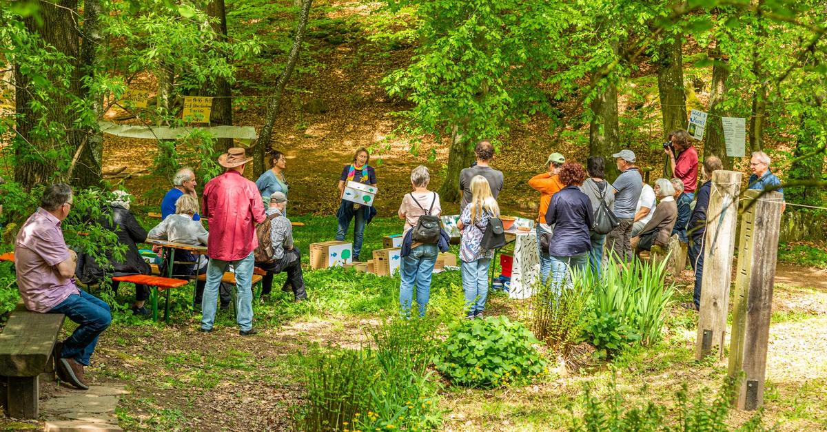 Der Forst im Odenwald unter der Lupe