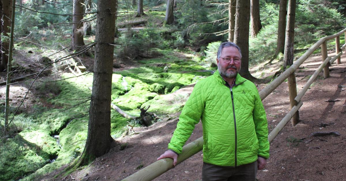 Im Wald der geheimnisvollen Quellen