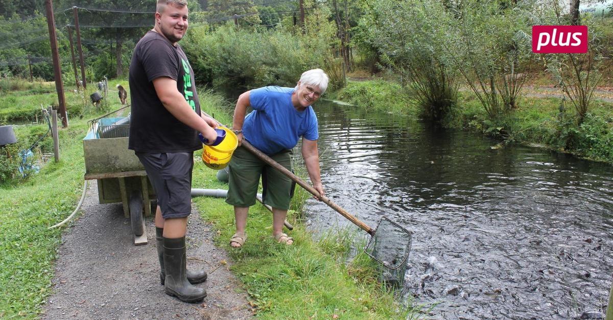 Serie tierisch was los: Forellenzucht in Hüttenthal