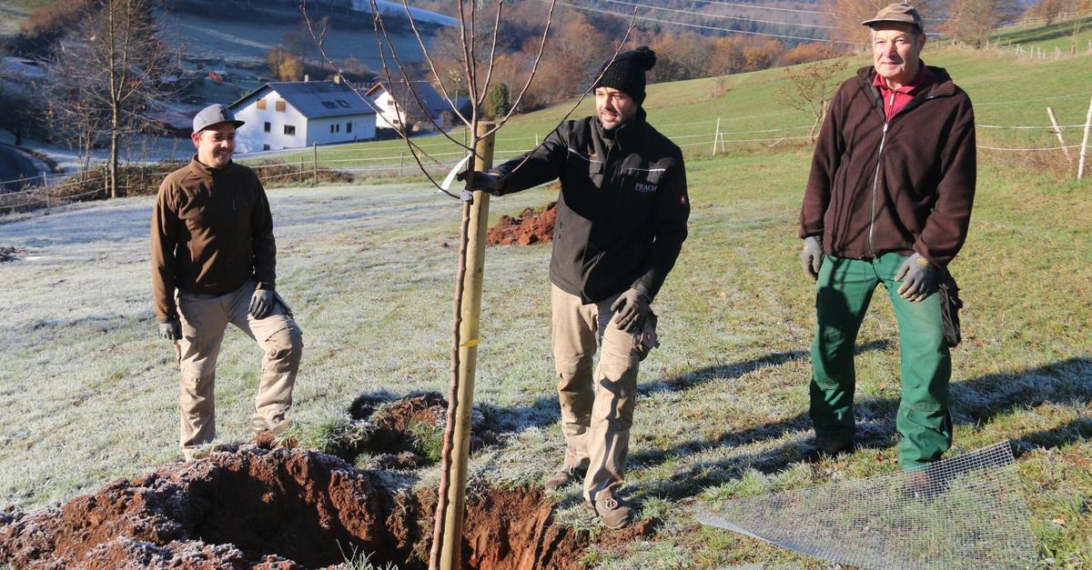 Im Odenwald tief verwurzelt