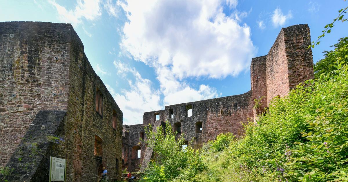 Burg Freienstein soll aus Dornröschenschlaf geweckt werden
