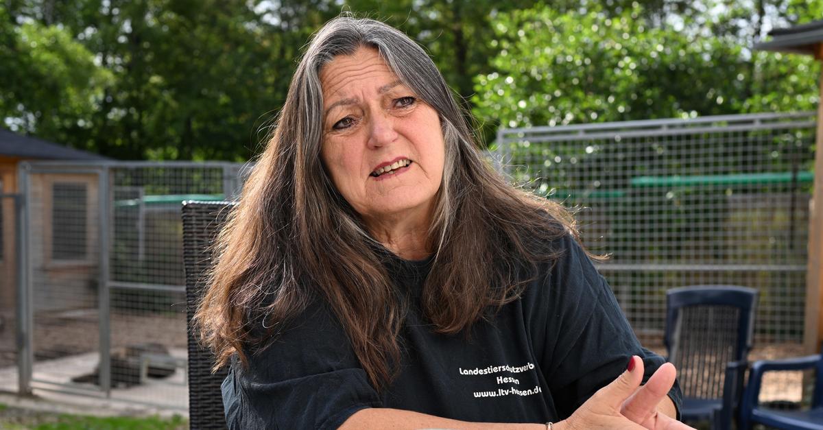 Tierheim-Gründerin Ute Heberer: „Aufgeben ist keine Option“
