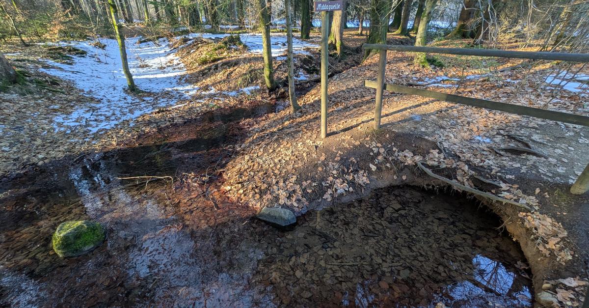 Rhein, Main, Lahn oder Fulda. Auf der Suche nach Hessens längstem Fluss