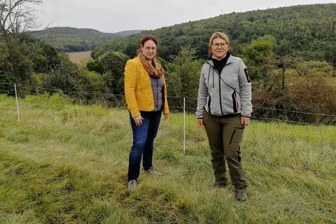 Möglichkeiten für Hochwasser- und Klimaschutz in Ranstadt