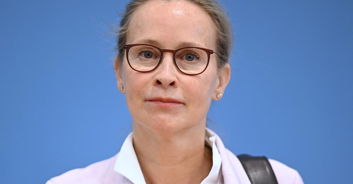 Rückzug von Frauke Brosius-Gersdorf: Viele Verlierer