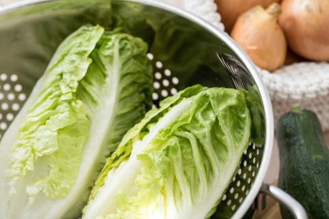 Vom Grill bis Caesar Salad – Romanasalat macht alles mit