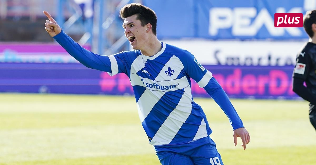 Mathias Honsak: Symbolbild des Hin und Hers bei den Lilien