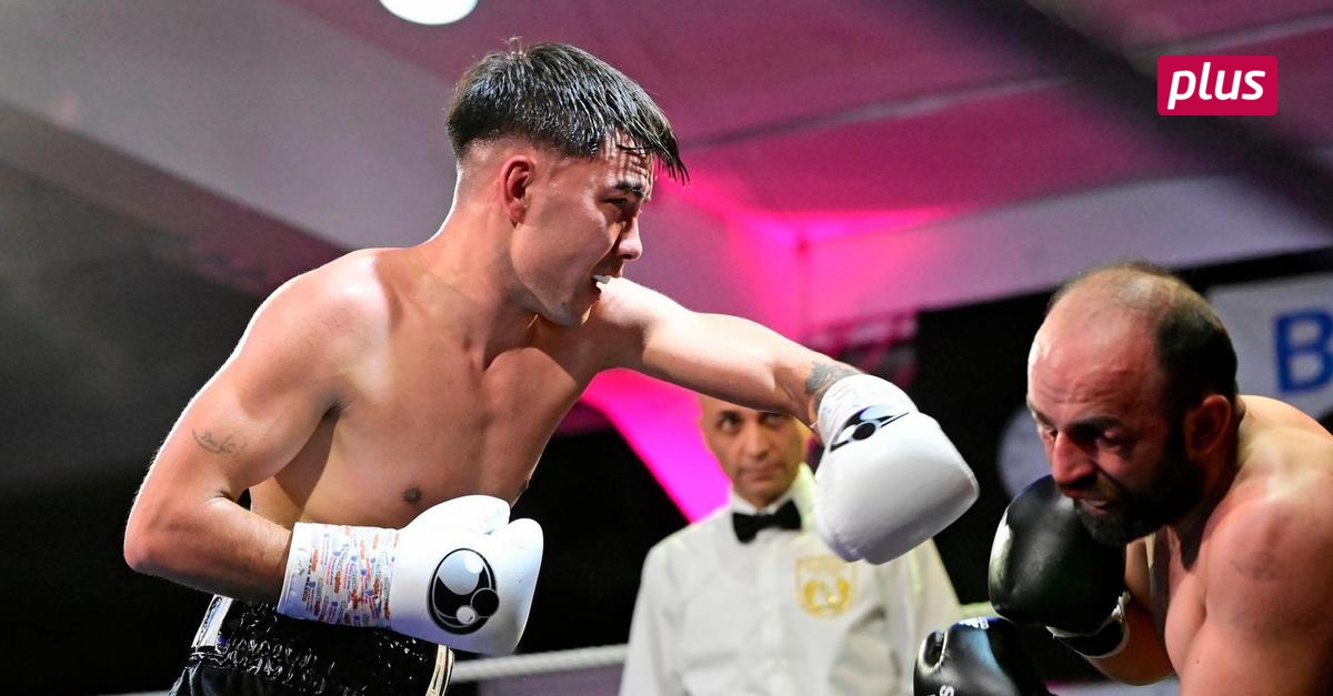 Profi-Boxen: Darmstädter Ali Hassani macht nächsten Schritt | Echo Online